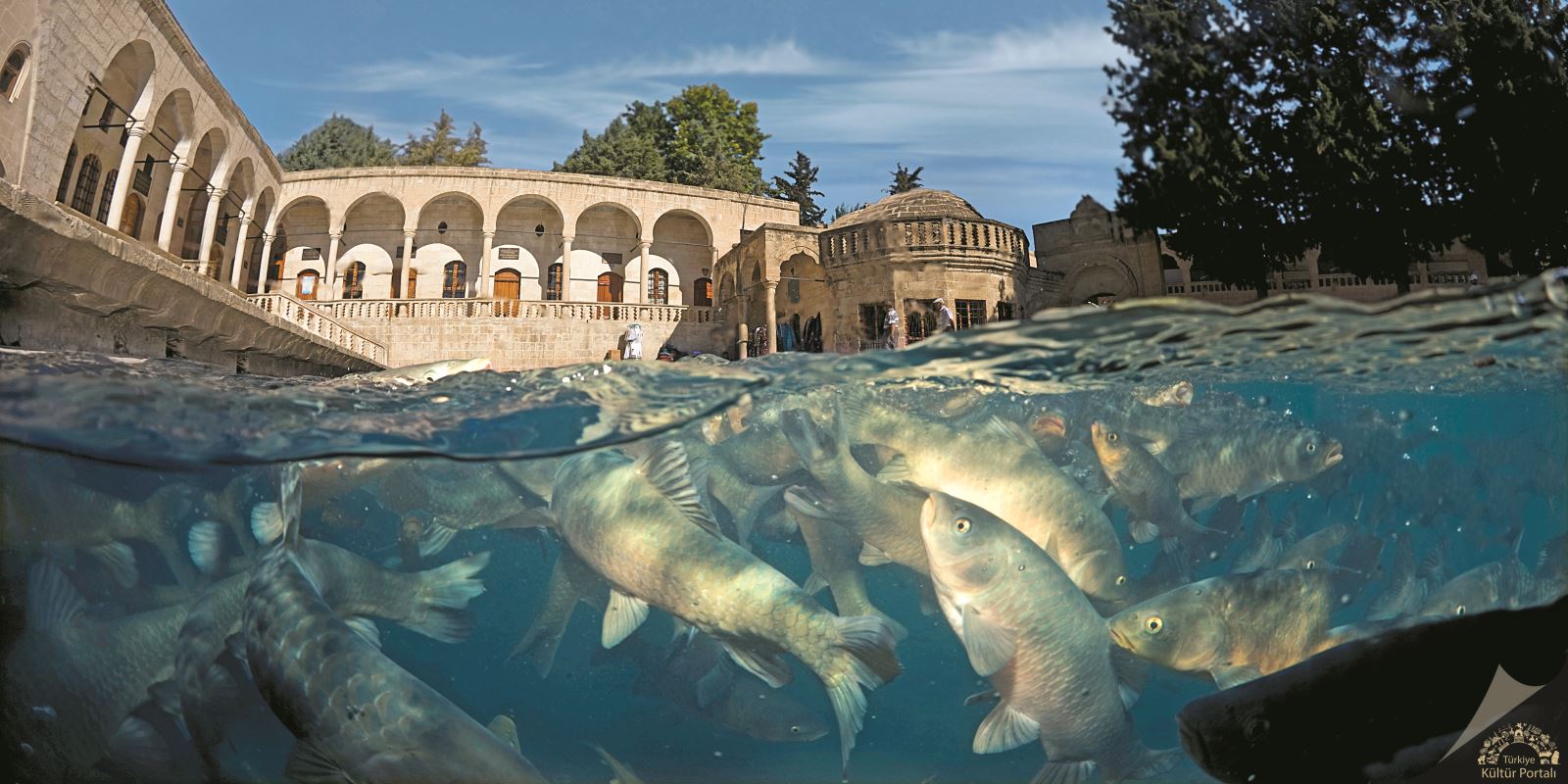 Balikligol Sanliurfa , The oldest statue of Asia - TURKEY - Nogrella